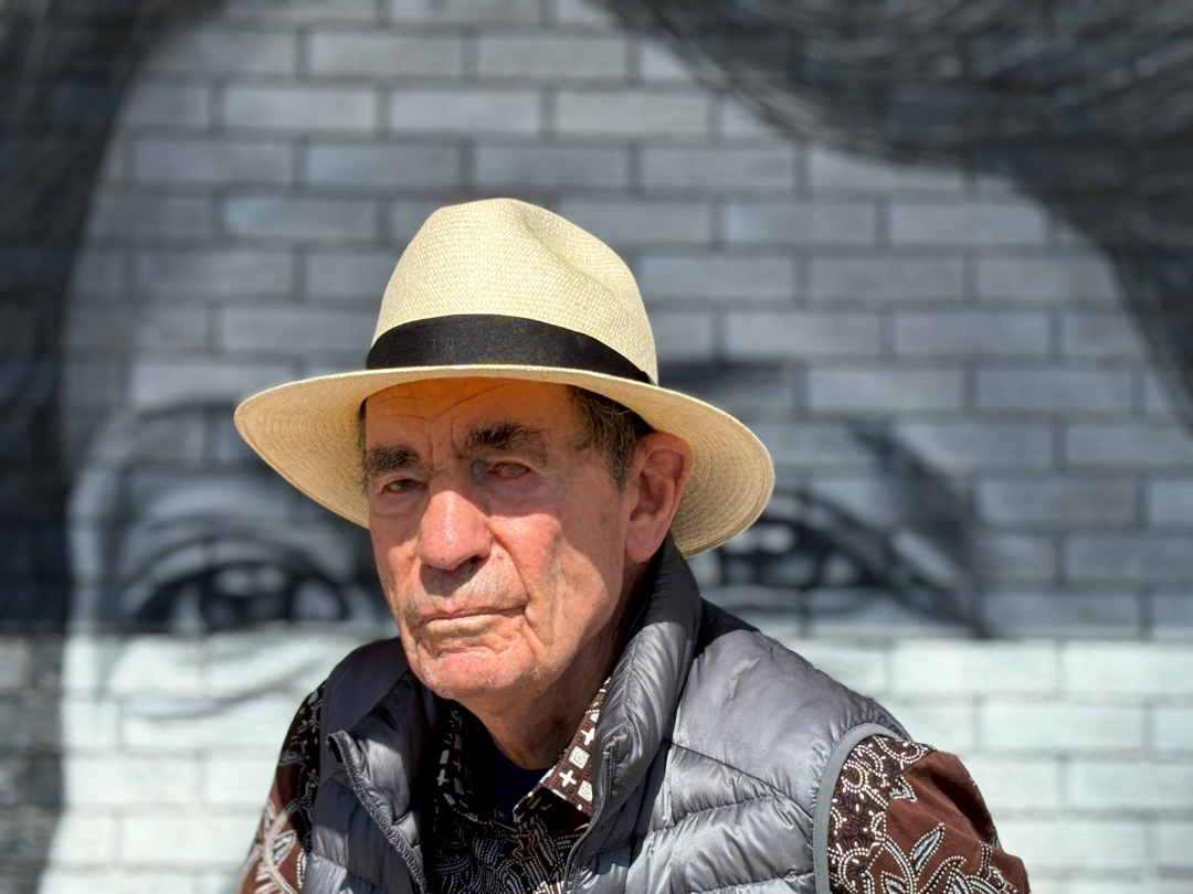 Spring Is Rebellious: The Art & Life of Albie Sachs - Zeitz MOCAA
